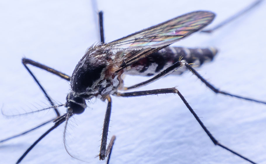 Learning Center | Hartz