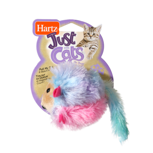 Hartz Just For Cats® Bizzy Balls® Cat Toy | Hartz