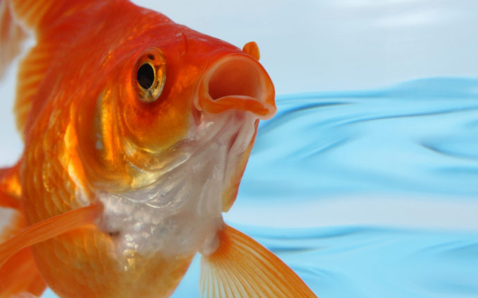 Archives | Page 40 of 63 | Hartz