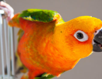 Learning Center - Hartz