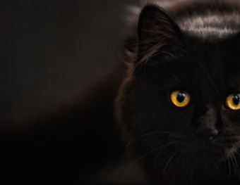 Learning Center - Hartz