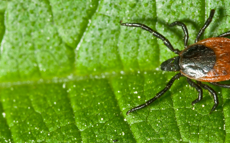 Archives | Page 22 of 63 | Hartz