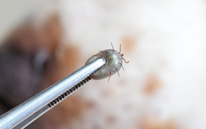 Archives | Page 2 of 64 | Hartz