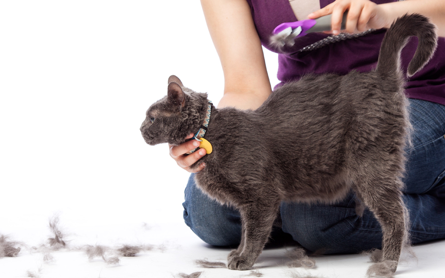 Fur Fetcher® | Hartz