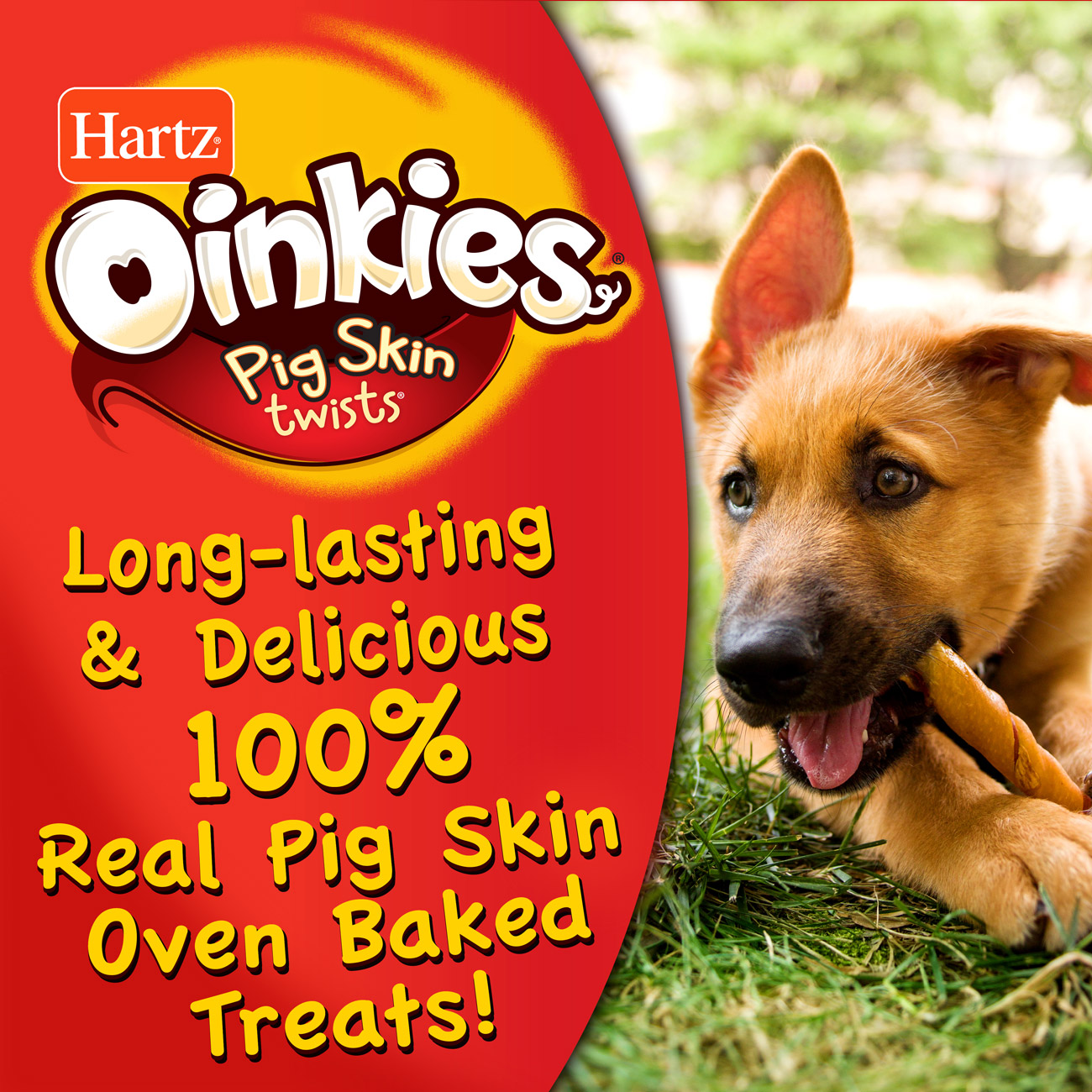Are Pork Skin Treats Bad For Dogs