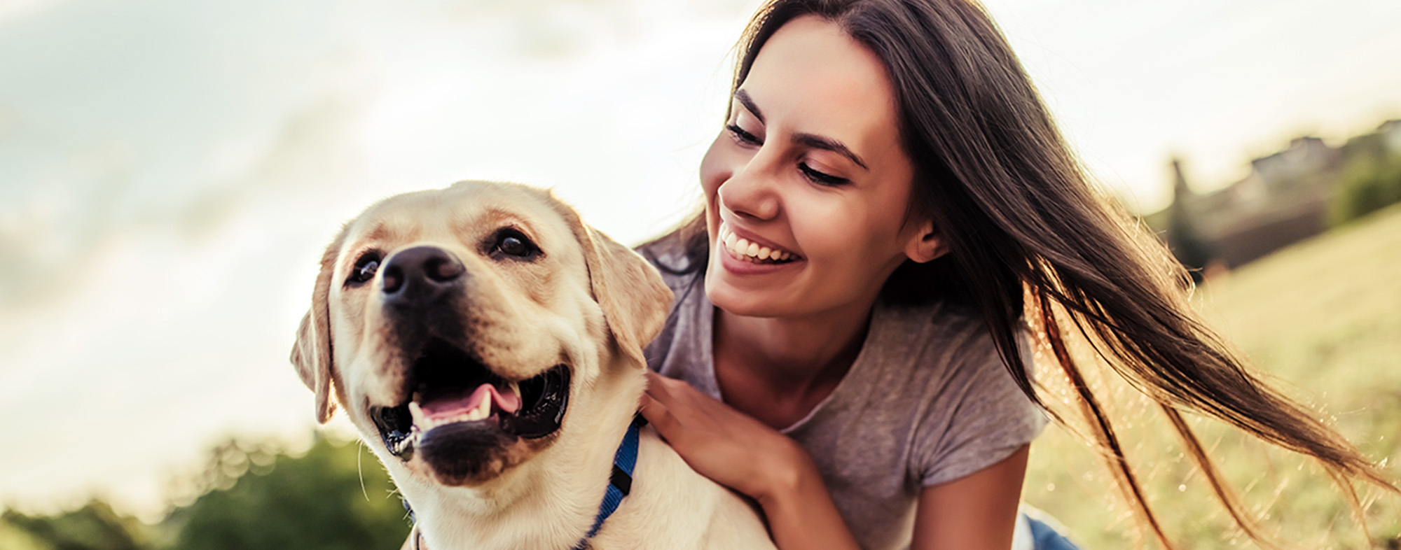 How Are Dogs Useful To Humans how-are-dogs-useful-to-humans