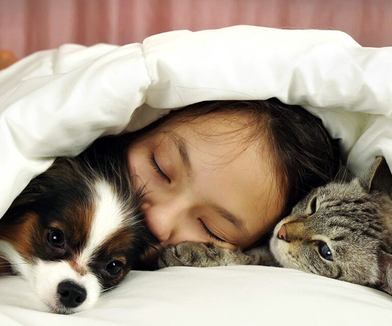 Preventing fleas in bed | Hartz
