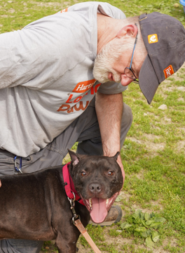 Hartz: Treats, Toys & Supplies For a Healthy and Happy Pet