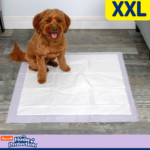 Hartz® Home Protection® XXL Odor Eliminating Dog Pads 40 Count ...