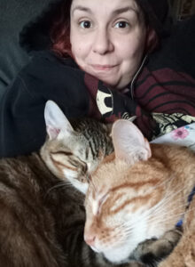 Hartz: Treats, Toys & Supplies For a Healthy and Happy Pet