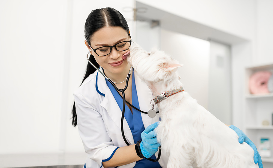 Learning Center | Hartz