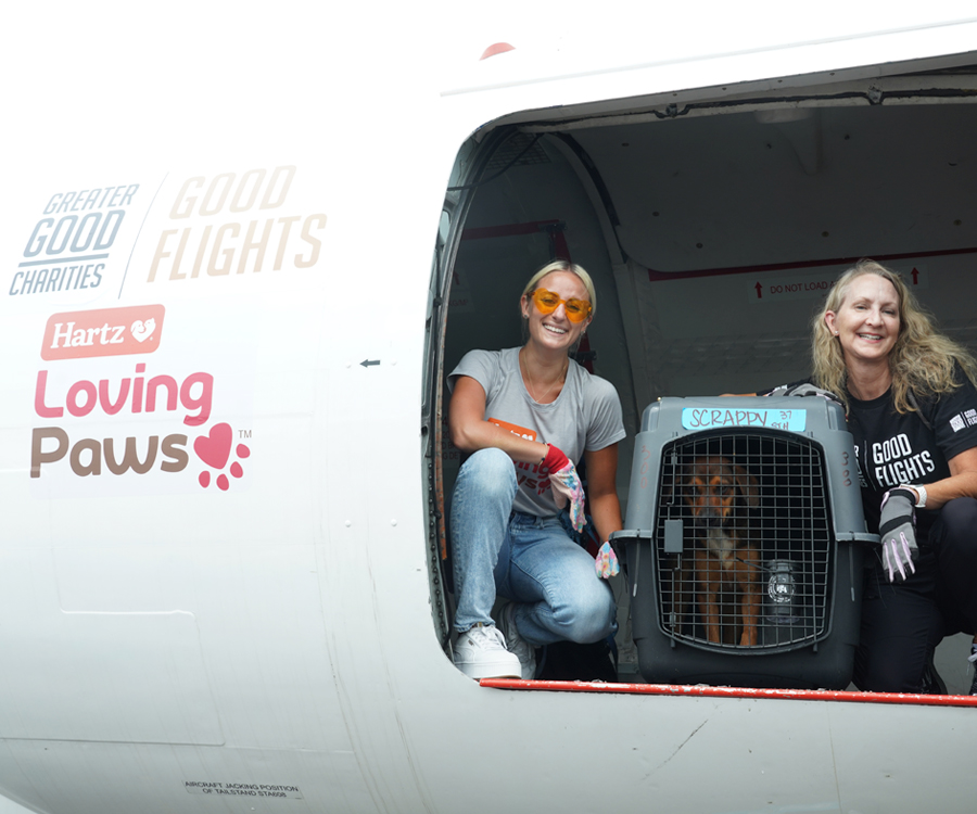 Hartz Loving Paws Life Saving Airlift | Hartz