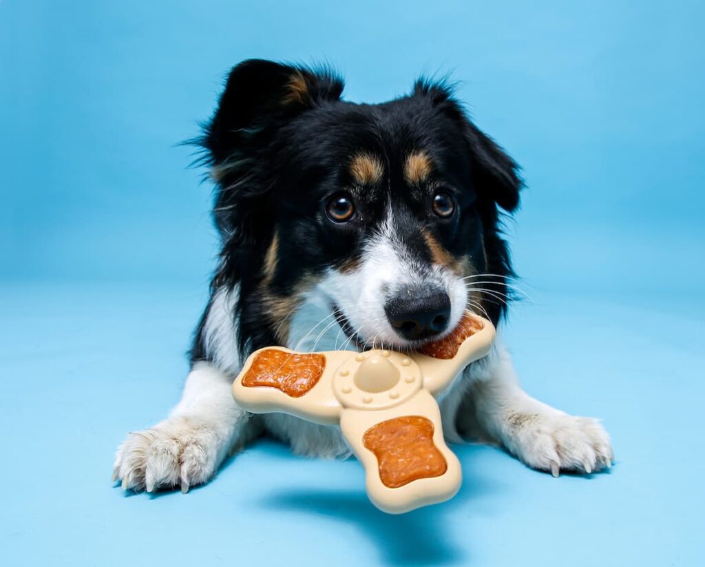 Dog Toys 101: A Comprehensive Guide | Hartz